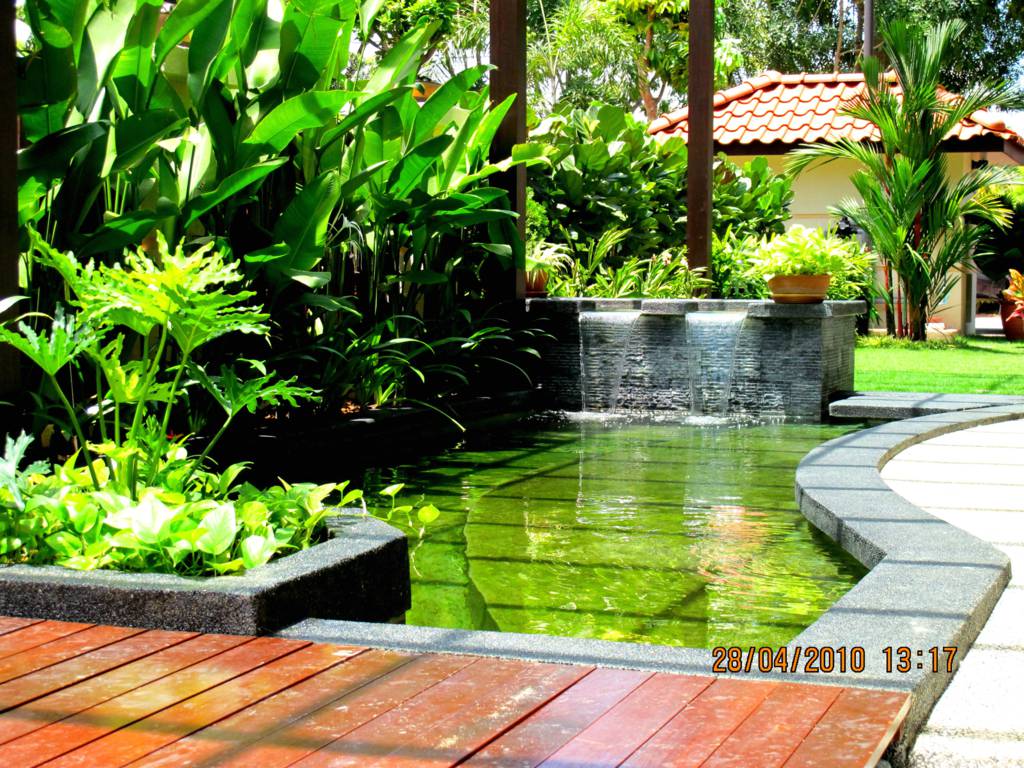 Creative Fish Pool Idea | Seri Pinang