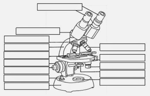 UNIDAD EDUCATIVA OCTAVIO CORDERO PALACIOS.CUENCA: BLOG 2 SEGUNDO DE ...