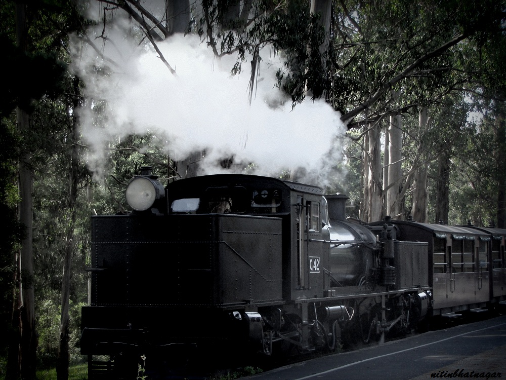 Travel Living: A Day Out with Puffing Billy Steam Train