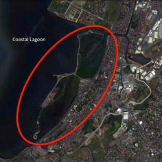 Save Freedom Island Movement