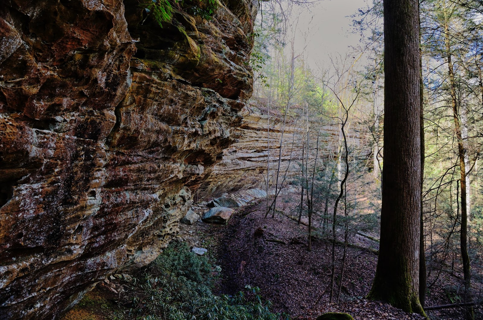 Backpack and Beer: Kayak on Laurel River Lake