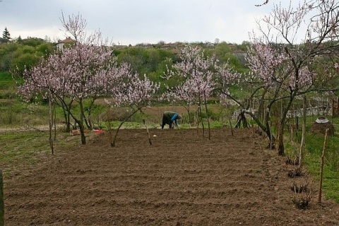 AgriHunt: Bulgaria's State Agriculture Stimulates Fund Organic Farming