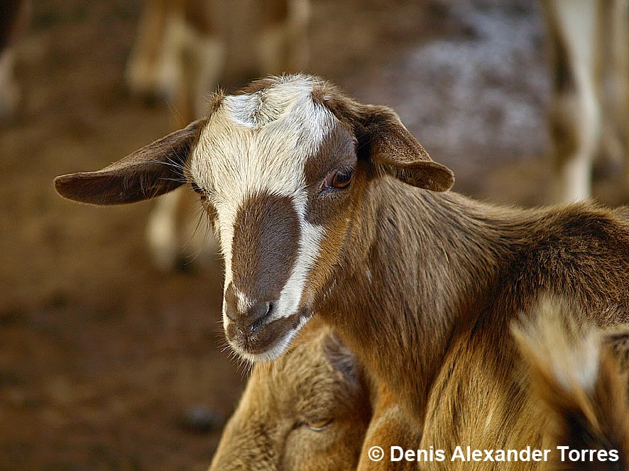 VISION TORRES - IMAGENES DE NUESTRO MUNDO: LOS VALLES SECOS DE MÉRIDA ...
