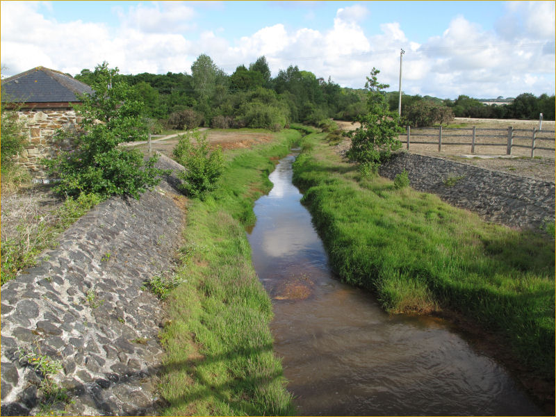 MONTS CORNWALL/KERNOW: TEHIDY WOODS & BISSOE NR