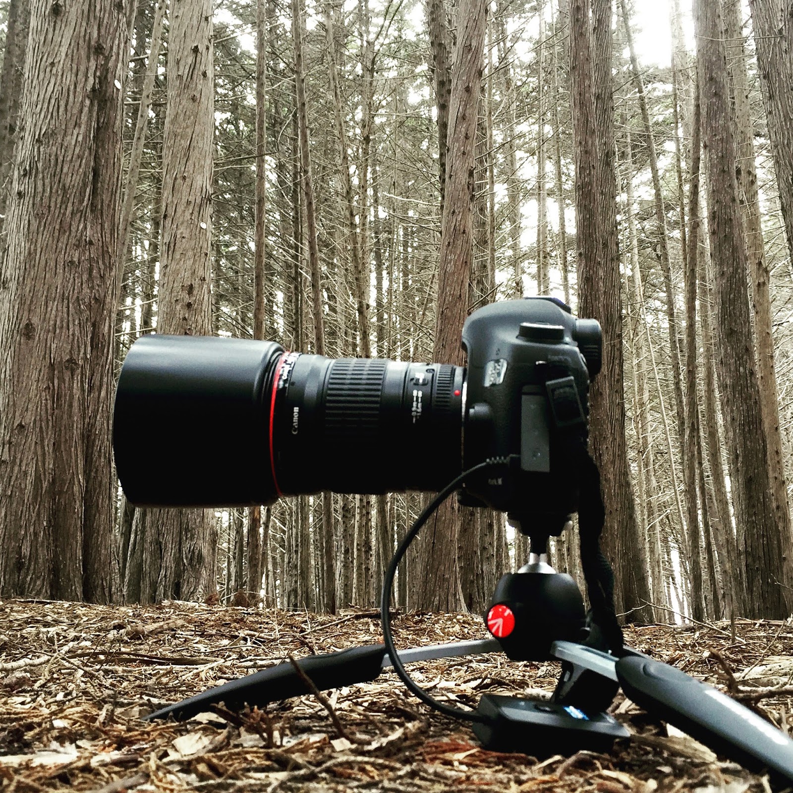 Mitchel Wu Toy Photography: Toy Photographer // What's In My Bag