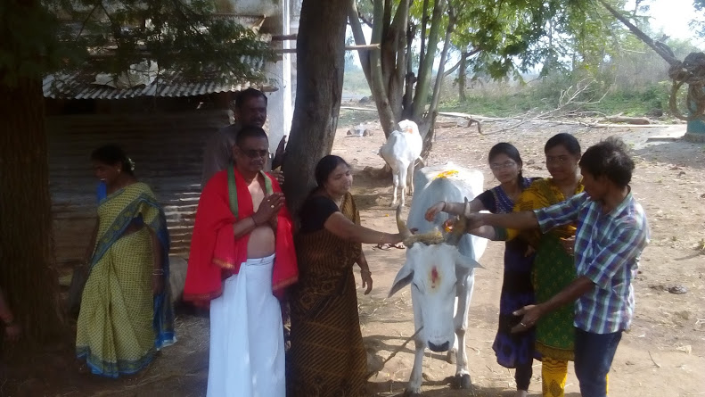 Why the Hindus consider cow as "Mother" i.e "Go Mata