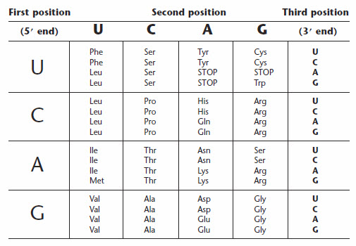 Sandwalk: March 2015