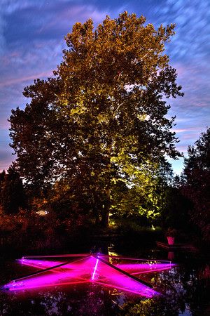 Roy Staab: photos of BECOMING A STAR when the magic begins