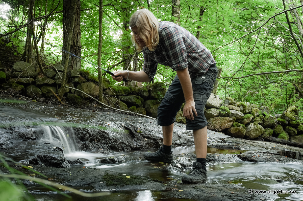 Elritsa i ny bäck ~ Jakten på 100 arter