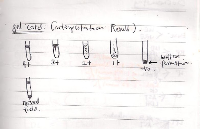 Medical Laboratory Technology - SOP: Gel Card interpretation