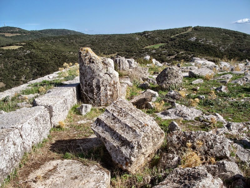 ROUMELH.blogspot.com: EΛΑΤΕΙΑ ΛΟΚΡΙΔΟΣ KI ΑΡΧΑΙΑ ΕΛΑΤΕΙΑ, Γράφει η Νότα ...