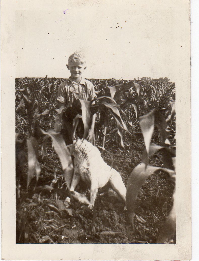 Looking Back by Paul Assink: Chapter 4 A Promise Sealed