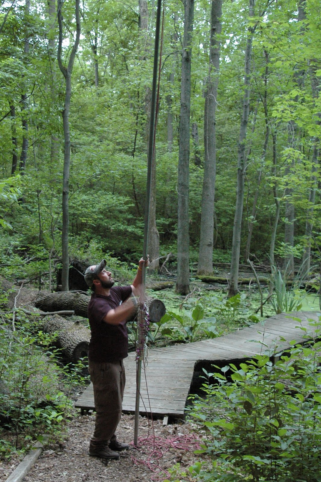 Backyard Beasts: Mist netting for bats!!! PART II