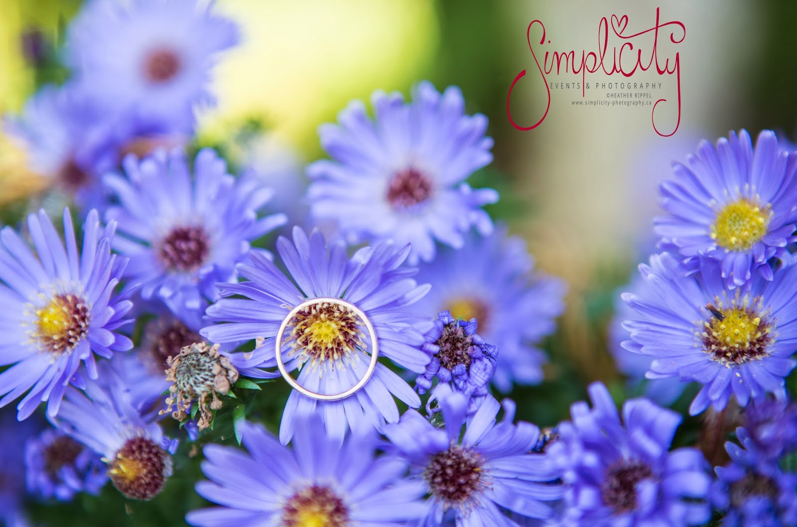 Simplicity Photography