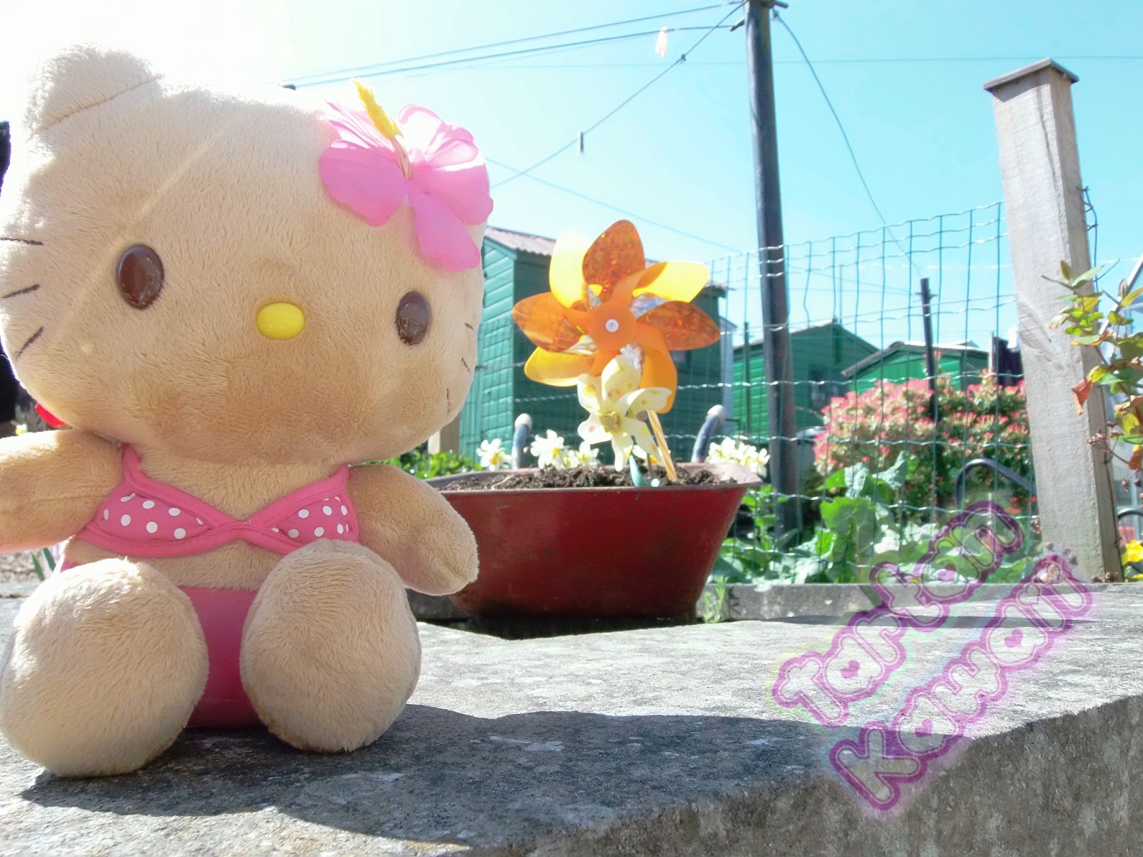 Kawaii Blush: Hello Kitty in the Sun
