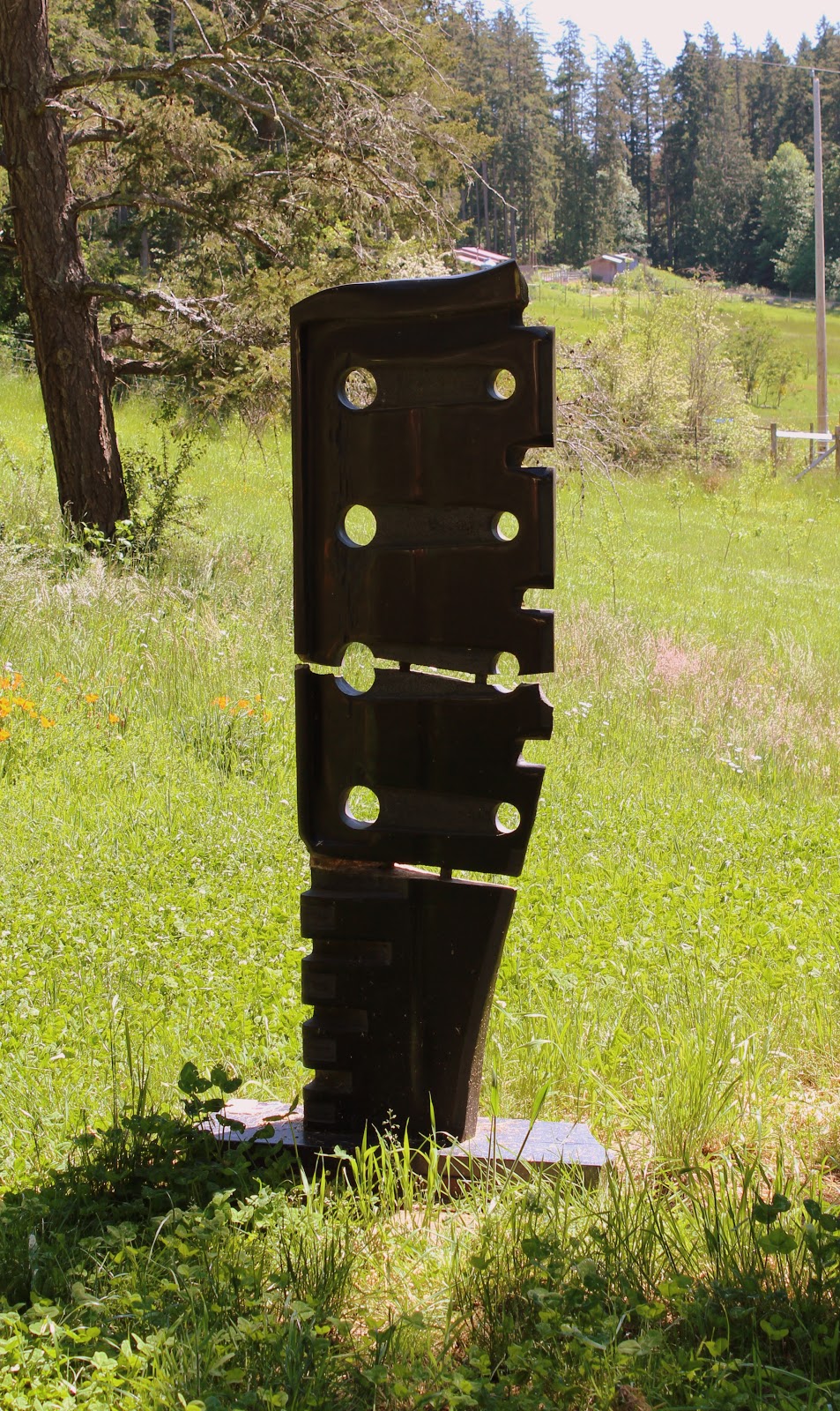 The Murray Chronicles : Salt Spring Wild ~ a craft cidery on Salt ...