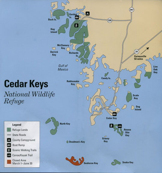 Big Daddy Dave: A Tour of Cedar Keys National Wildlife Refuge