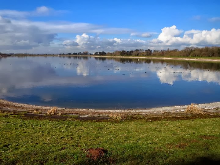 Vinnyman's Birding and Nature Blog.: Shustoke Reservoir, Warwickshire.