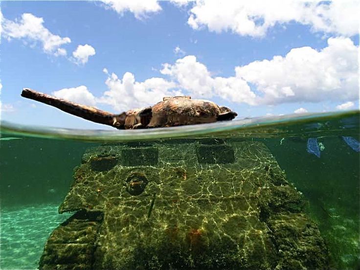 The submerged Sherman tanks of Saipan – WW2Wrecks.com