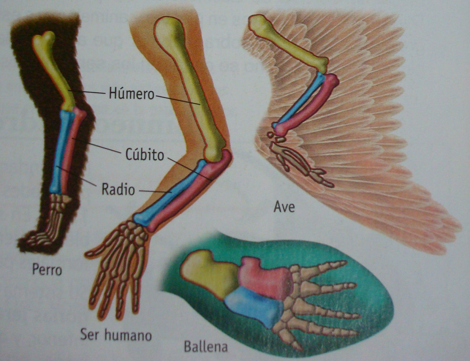 Nuestro Medio Ambiente