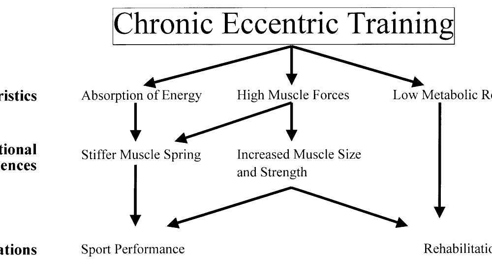 Eccentric training