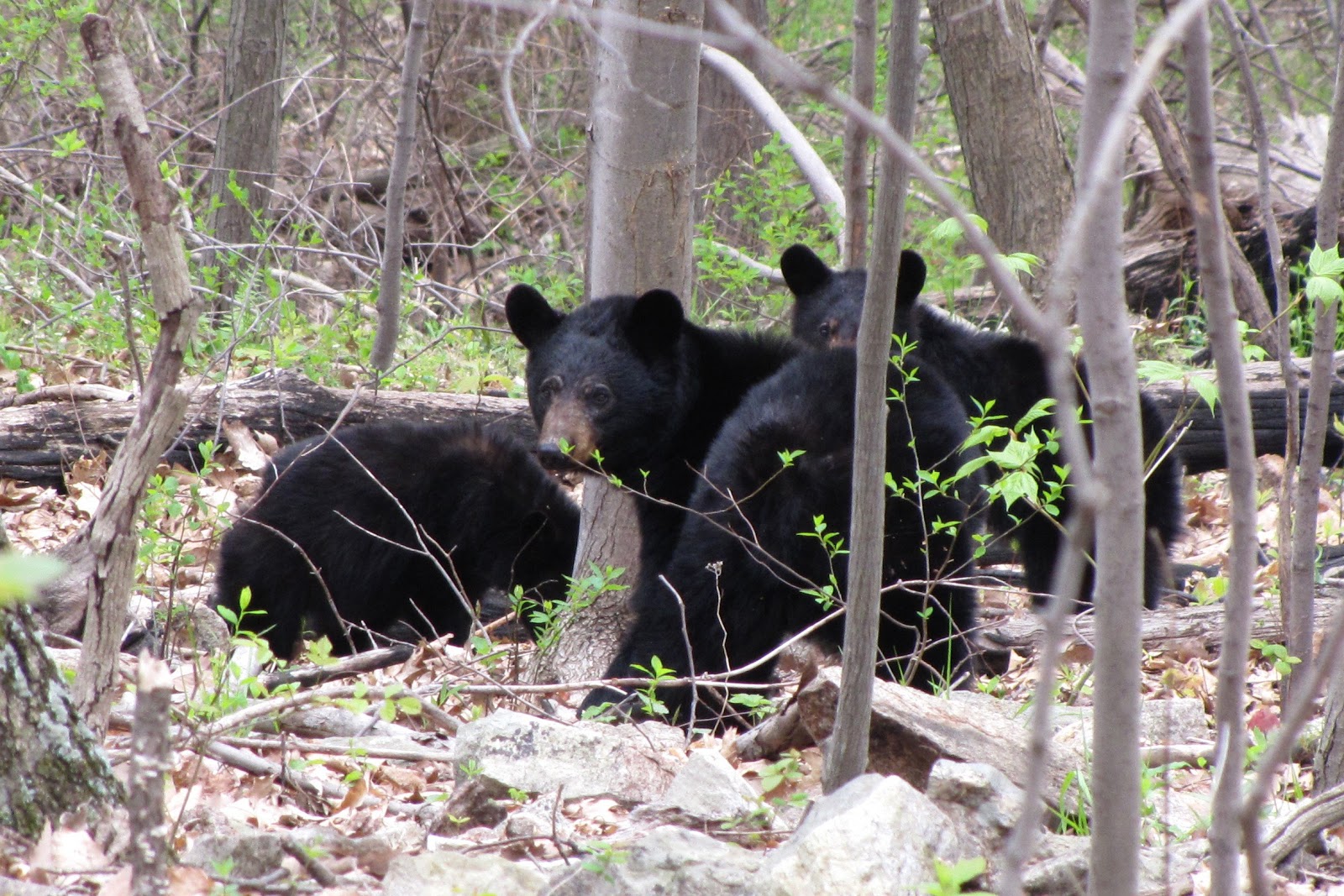 To Behold the Beauty: Changing Cameras