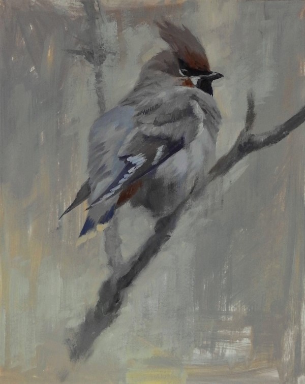 Tim Wootton Wildlife Art