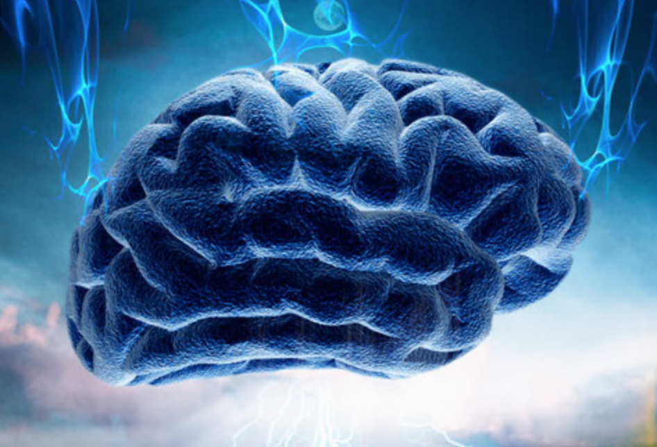 Immortality Quest Aims To Preserve Brain 100 Years - The Elder Statement