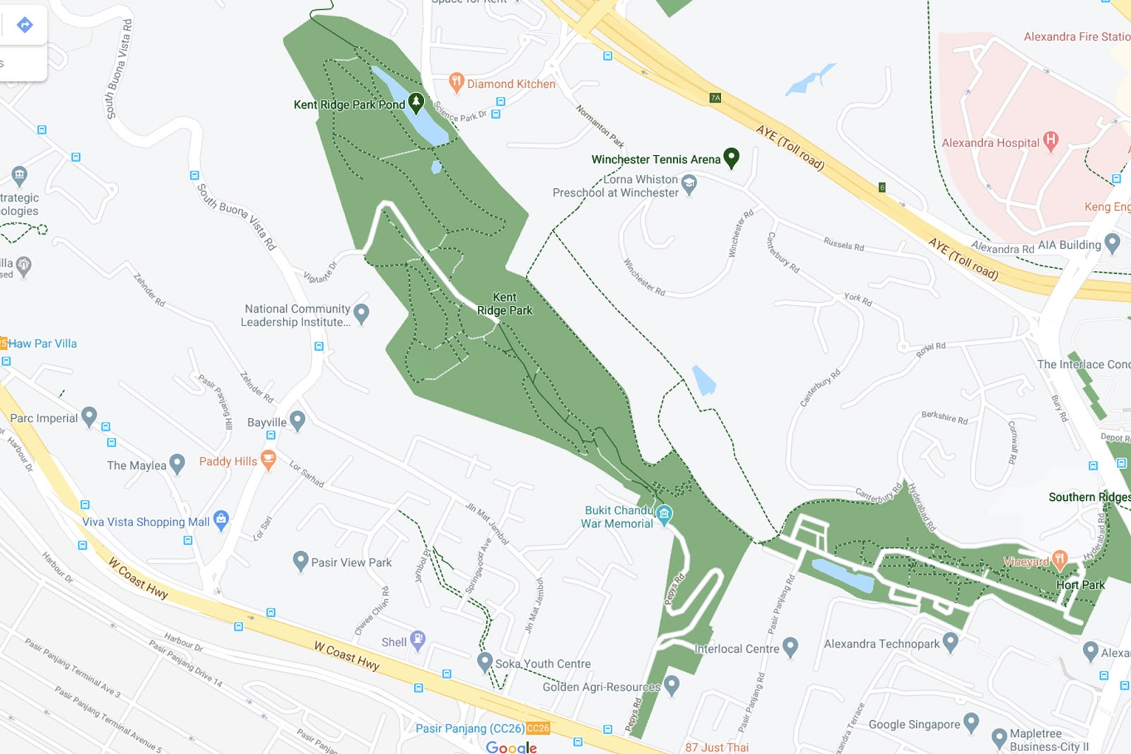 Butterflies of Singapore: Butterfly Photography at Our Local Parks ...