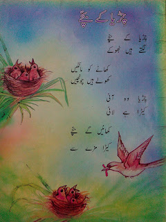 Urdu Collection: Reading comprehension