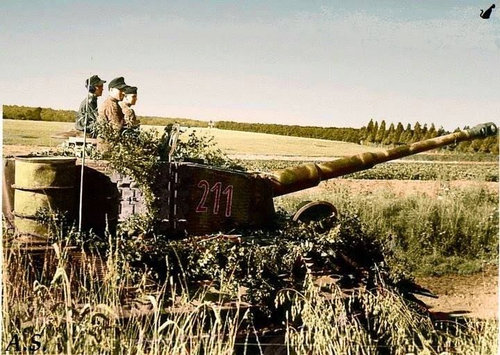 World War II in Pictures: Tiger Tanks