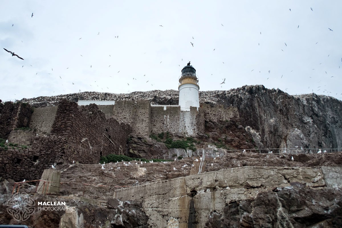 Bass Rock Lighthouse