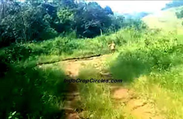 Mysterious Tribes; Suku Mante, The Real Hobbit or Dwarf from Aceh ...