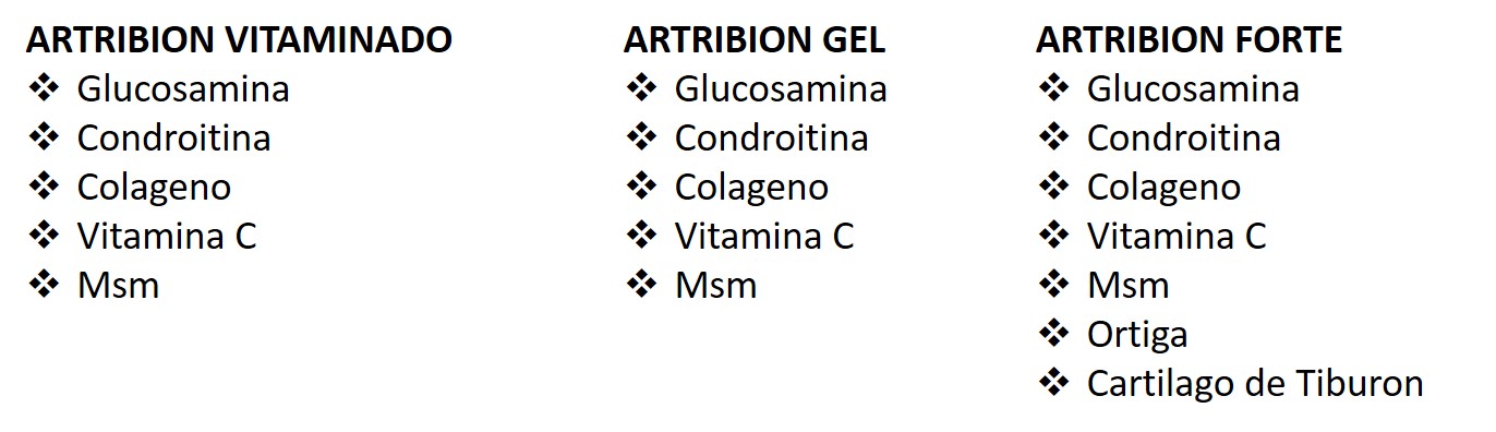 VIEVINTEC STORE: ARTRIBION VITAMINADO,FORTE Y GEL