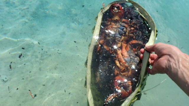 Crawshaw's Tokelau adventure: Fenua Loa- beautiful photo's. July ...