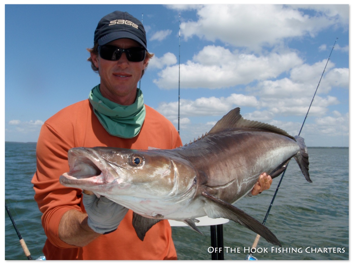 Hilton Head Fishing with Off The Hook Fishing Charters: April 2012