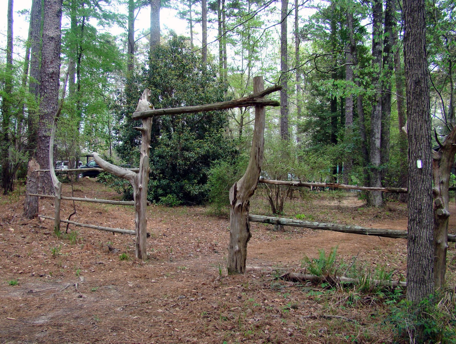 Views from My Highland Cottage: Caroline Dormon's Legacy: A Return to ...