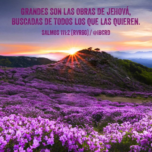 ANTOFAGASTA RELIGIOSA: LA BIBLIA: SALMOS 111