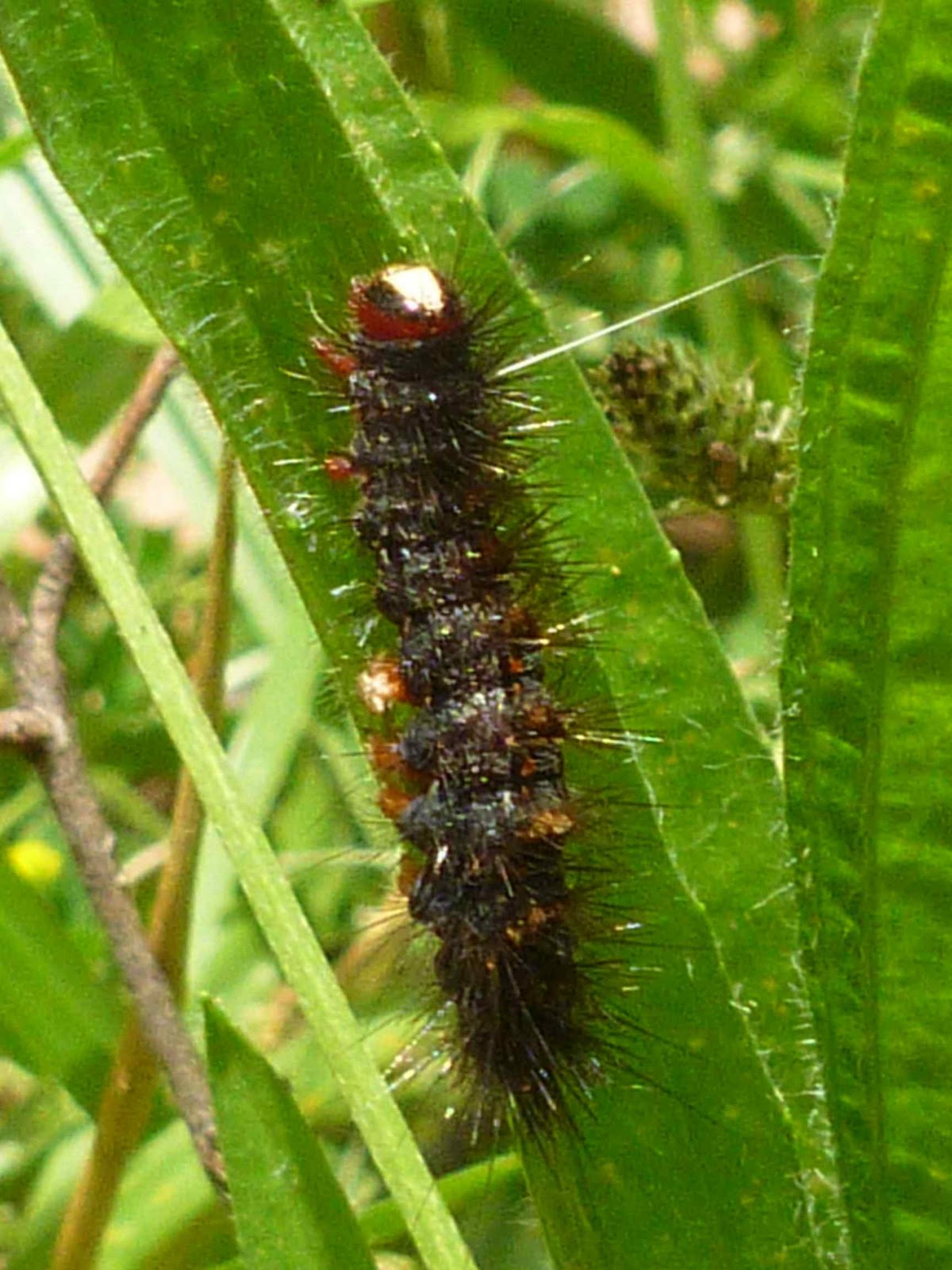 The SportyMummy: January 2012