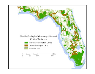North American Great Ape: Florida's Wildlife Corridor