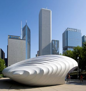 130 Hannah Allgeier: Curvilinear Shapes (14)