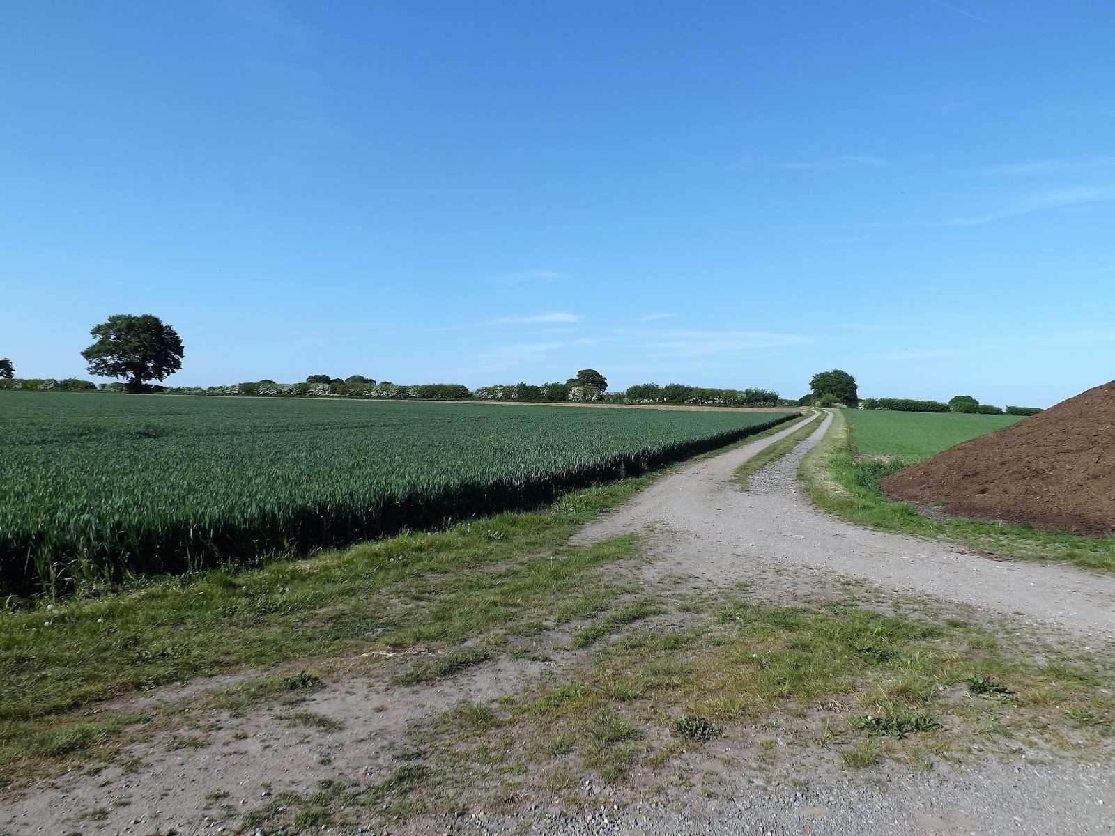 JJ's Wargames: Battle of Stoke Field, 16th June 1487