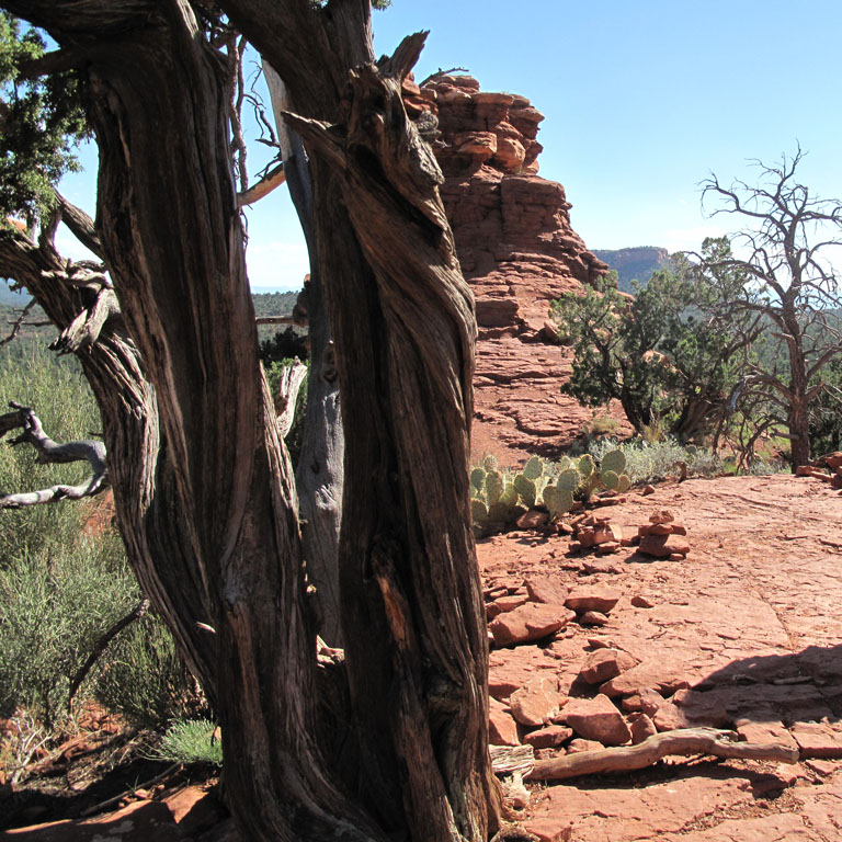 ParaHunt.com: Energy Vortexes of Sedona, Arizona