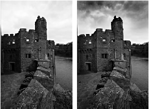 Experimental Photography: Dodge and Burn