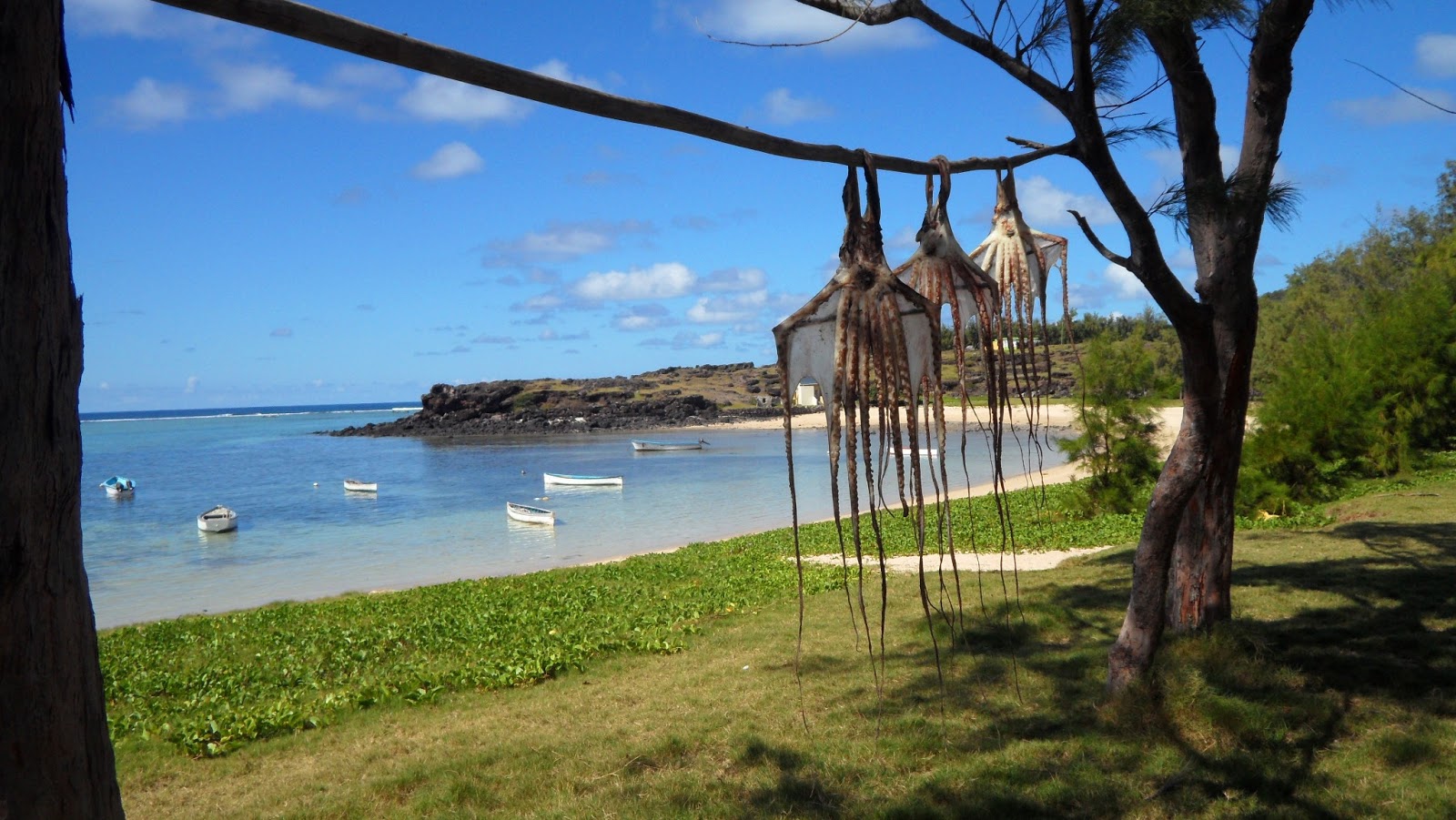 Ketoro travels: Rodrigues Island, a great stop