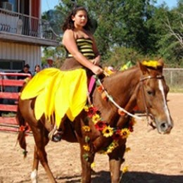 Horse Heaven: Horse And Rider Costumes