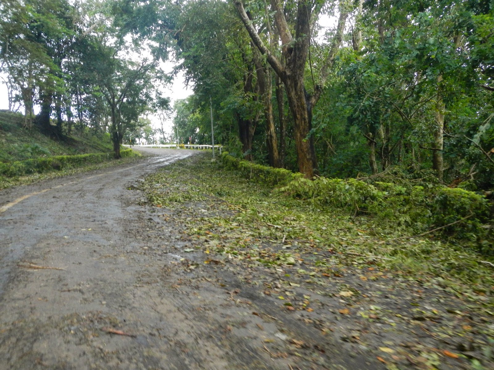 Lourjel The Traveler: August 2014