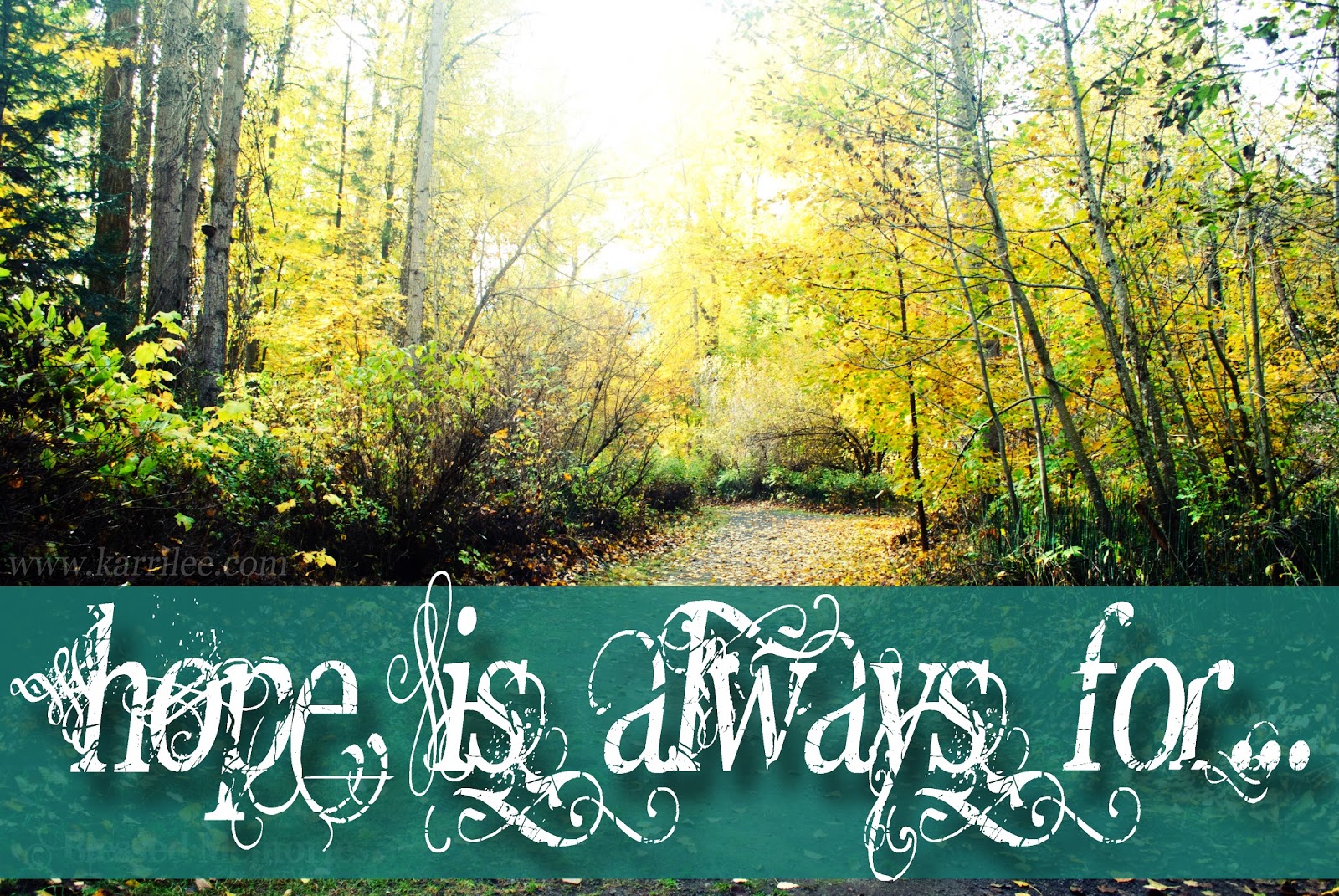 Abiding Love, Abounding Grace: Expectations