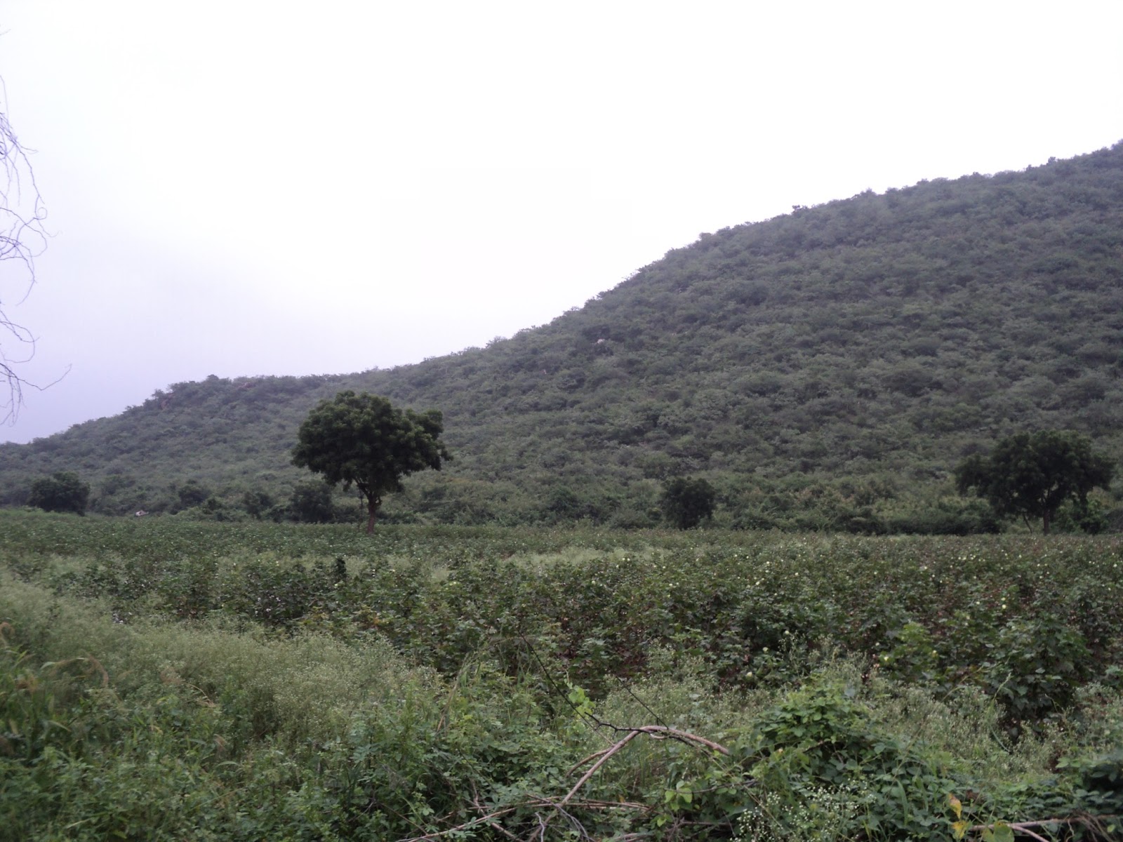 FREELANCE ARCHAEOLOGIST RAHUL VARANASI : GUTTIKONDA BILAM, GUNTUR DISRTICT