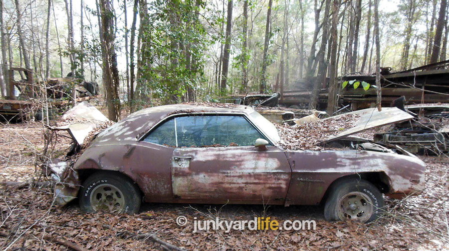 Junkyard Life: Classic Cars, Muscle Cars, Barn finds, Hot rods and part ...